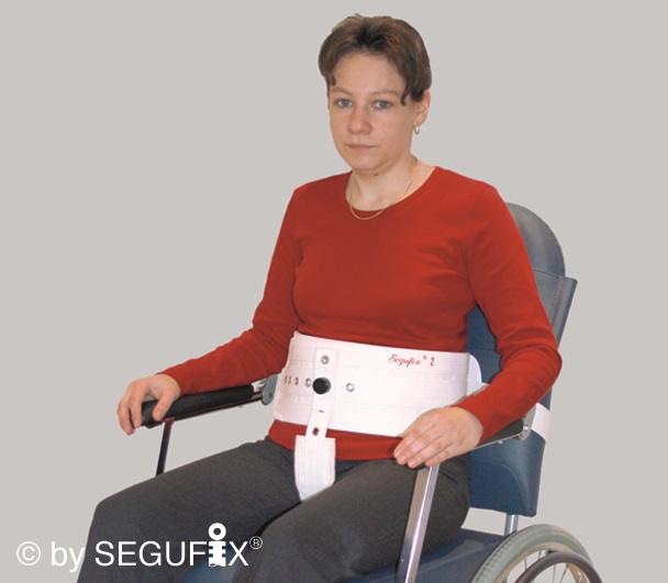 Segufix Sitzgurt mit Schrittgurt